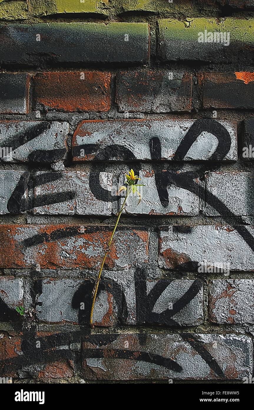 Graffiti En Pared De Ladrillo Fotografía De Stock Alamy