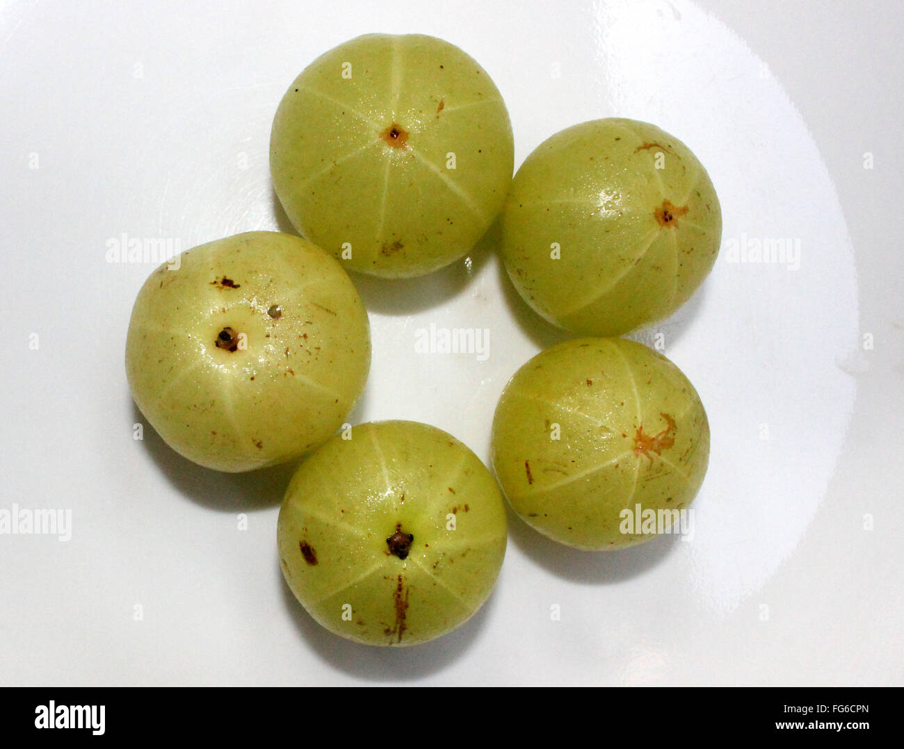 Frutos Secos Y Carnosos