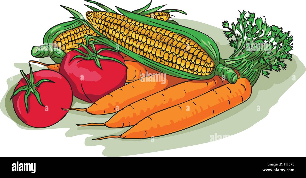 Dibujo Ilustración Estilo Boceto De Un Huerto De Cultivos Producir Cosecha Aislado En Fondo