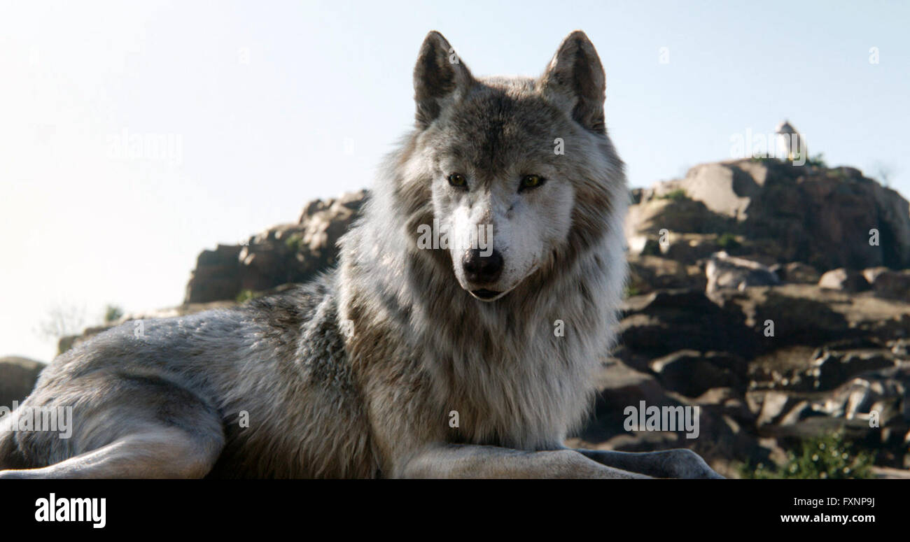 Libro De La Selva Lobos