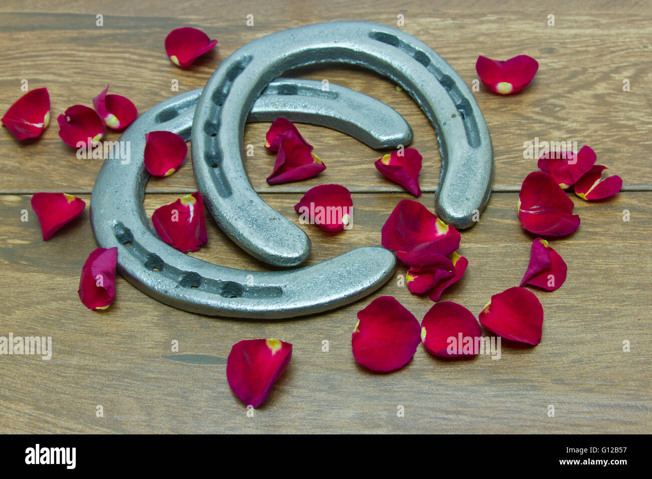 Herraduras y rosas fotografías e imágenes de alta resolución - Alamy Herraduras y rosas fotografías e imágenes de alta resolución - Alamy