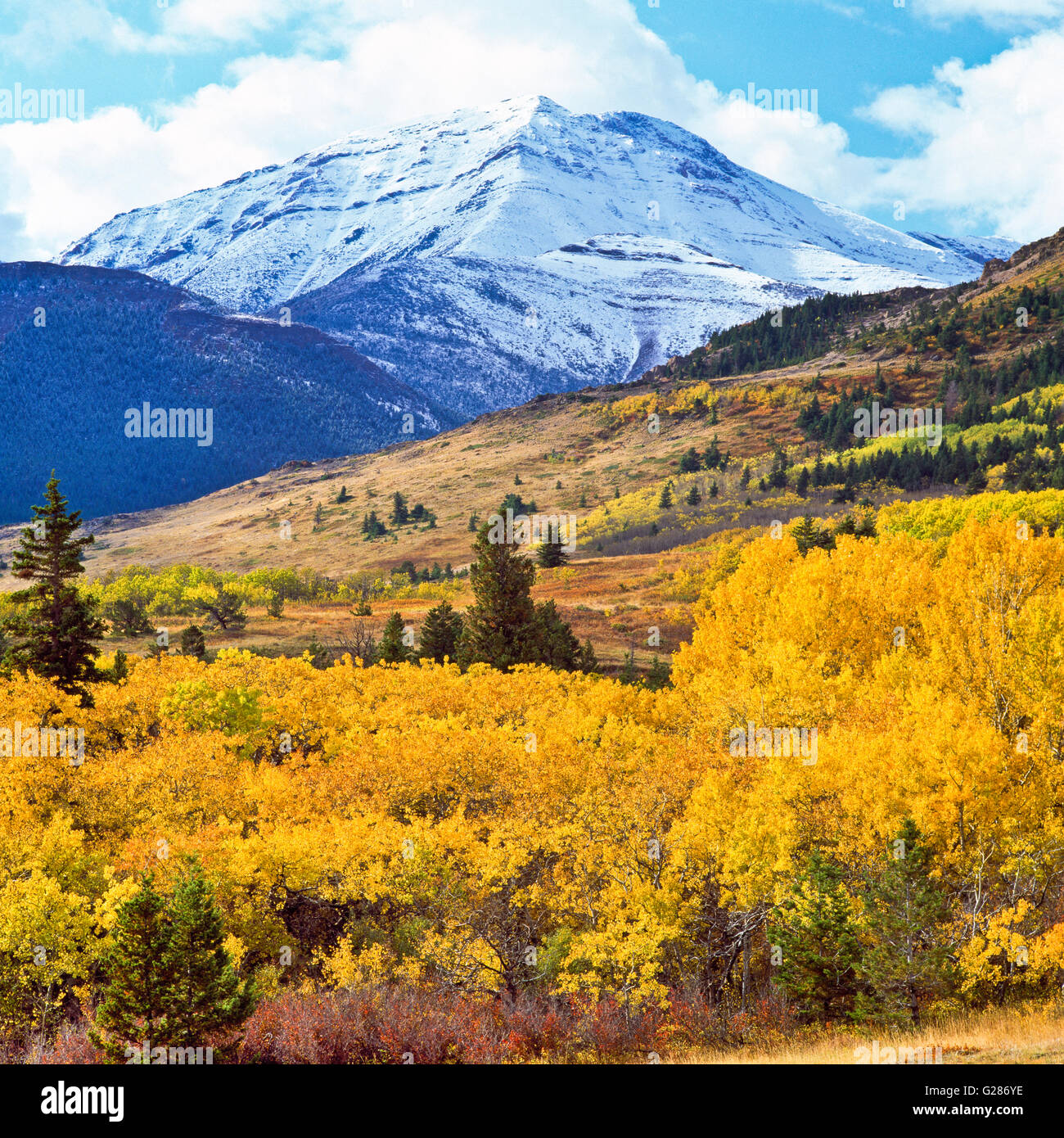 Dupuyer Creek Montana at Seth Rudall blog