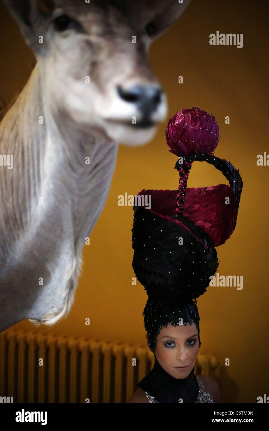 Arte De Peluqueria Fotografías E Imágenes De Alta Resolución Alamy