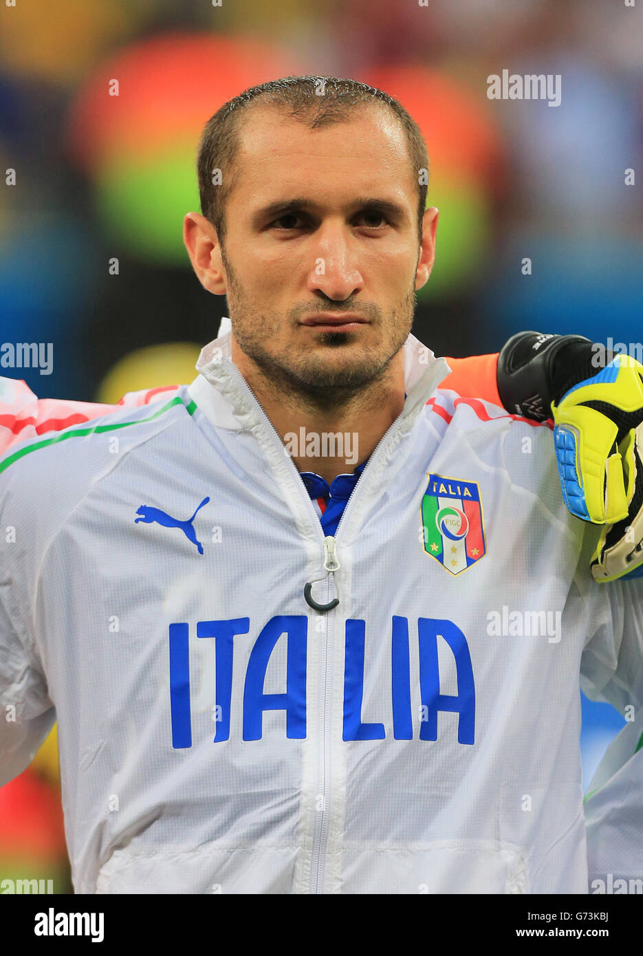 Giorgio Chiellini Italia Fotografías E Imágenes De Alta Resolución Alamy