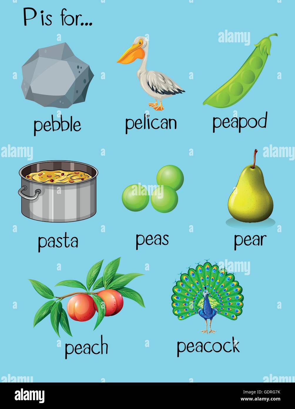 Muchas Palabras Comienzan Con La Letra P Ilustración Imagen Vector De