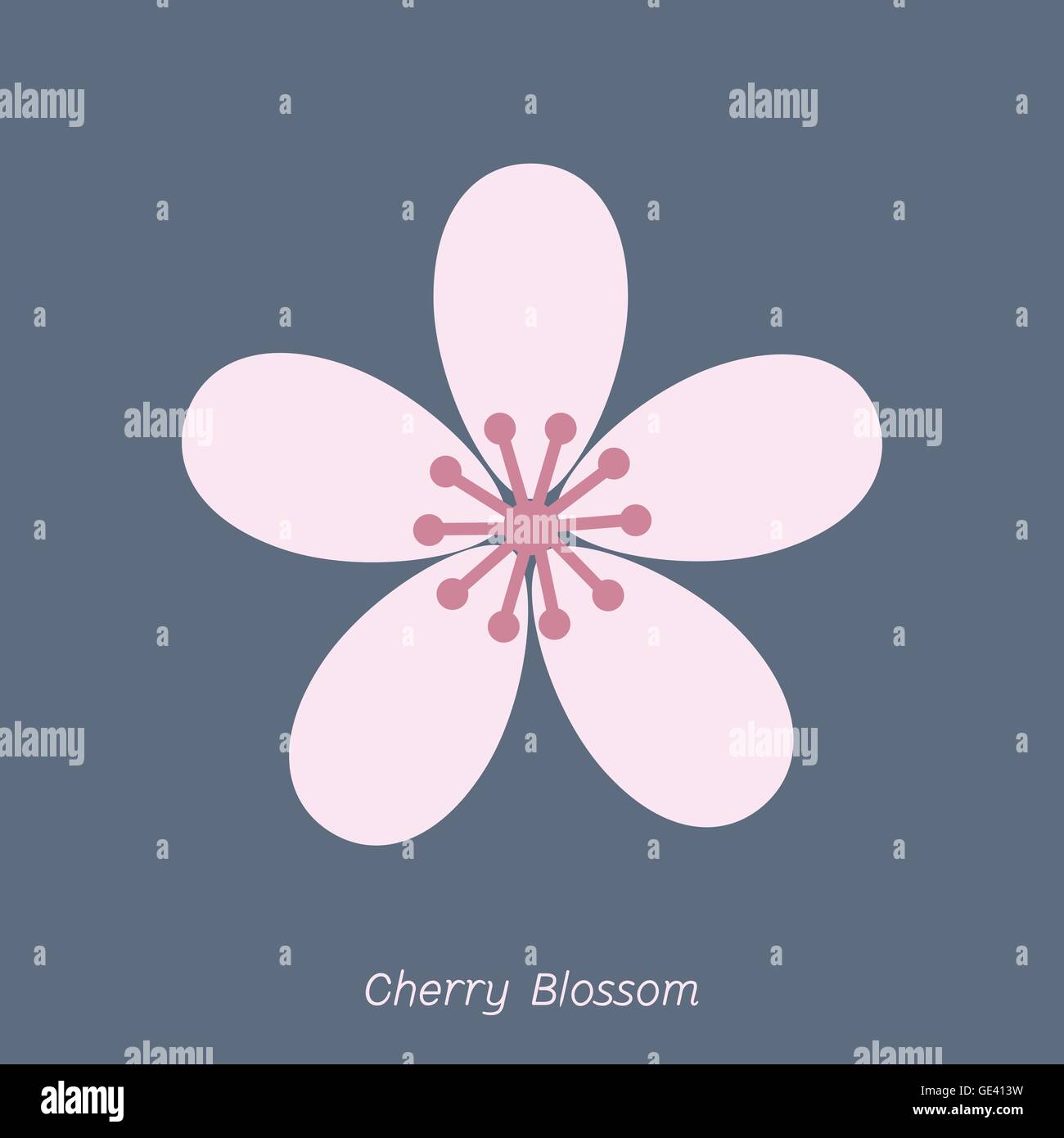 Flor De Cerezo Vector