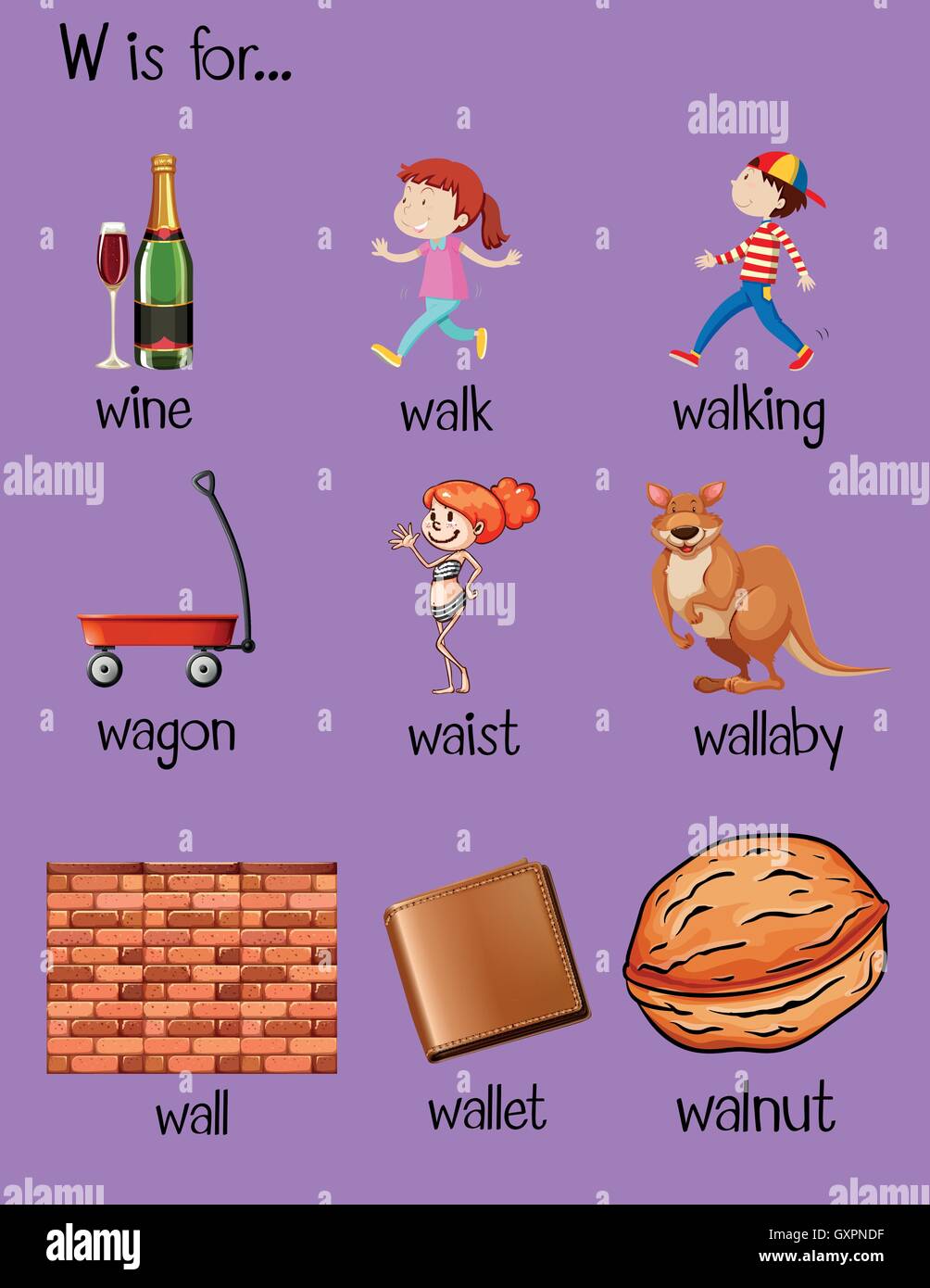 Muchas Palabras Comienzan Con La Letra W Ilustración Imagen Vector De