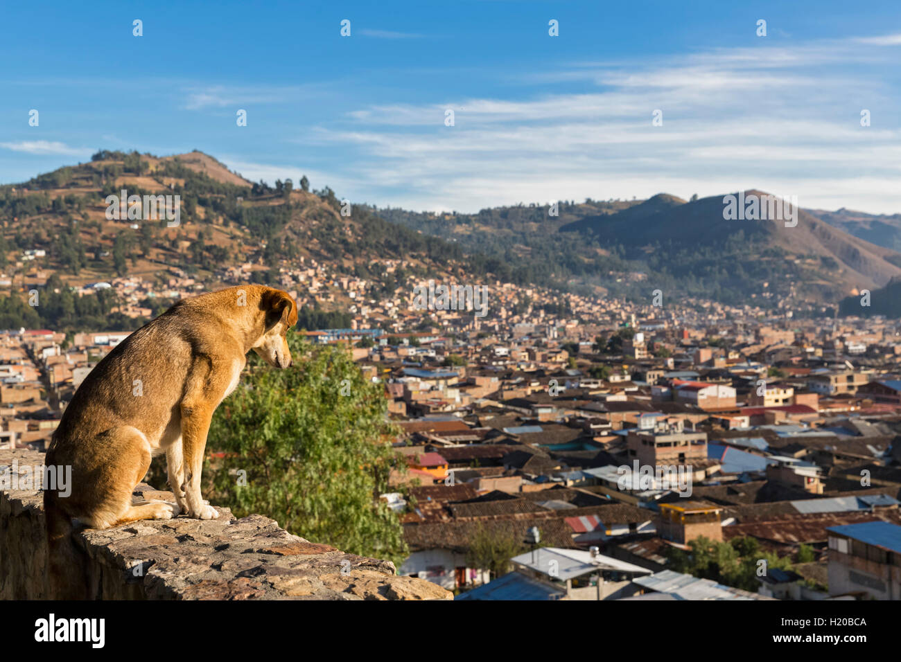 Cerro Santa Apolonia Fotografías E Imágenes De Alta Resolución Alamy