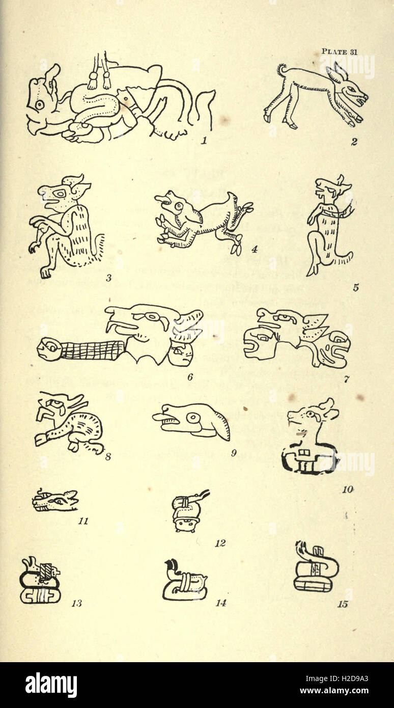 Figuras de animales en los códices mayas (Lámina 31 Fotografía de stock ...