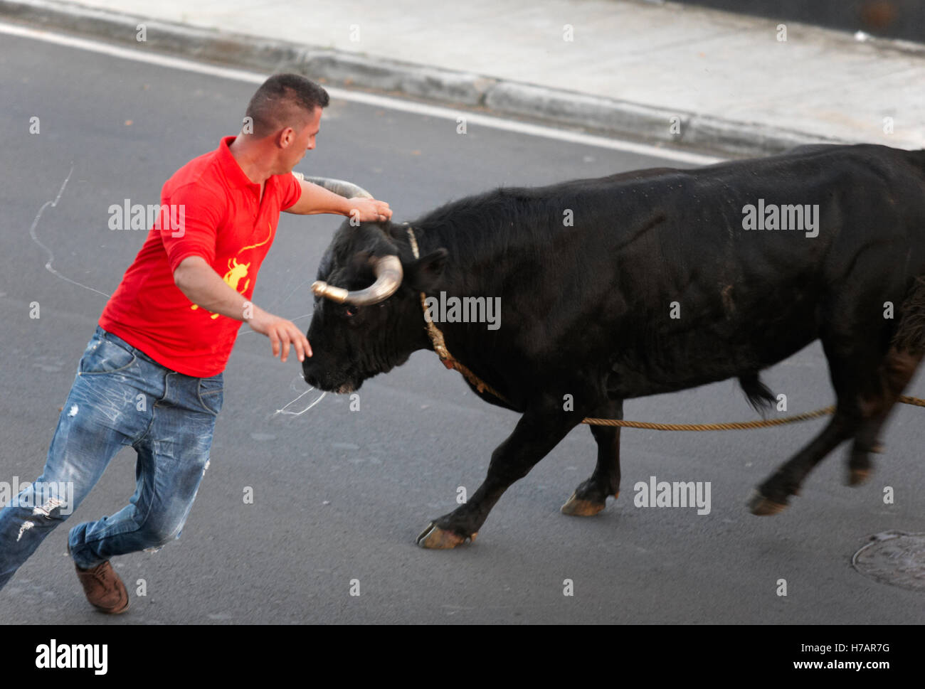 Juegos De Hombre Corriendo De Un Toro at Steven Robbins blog