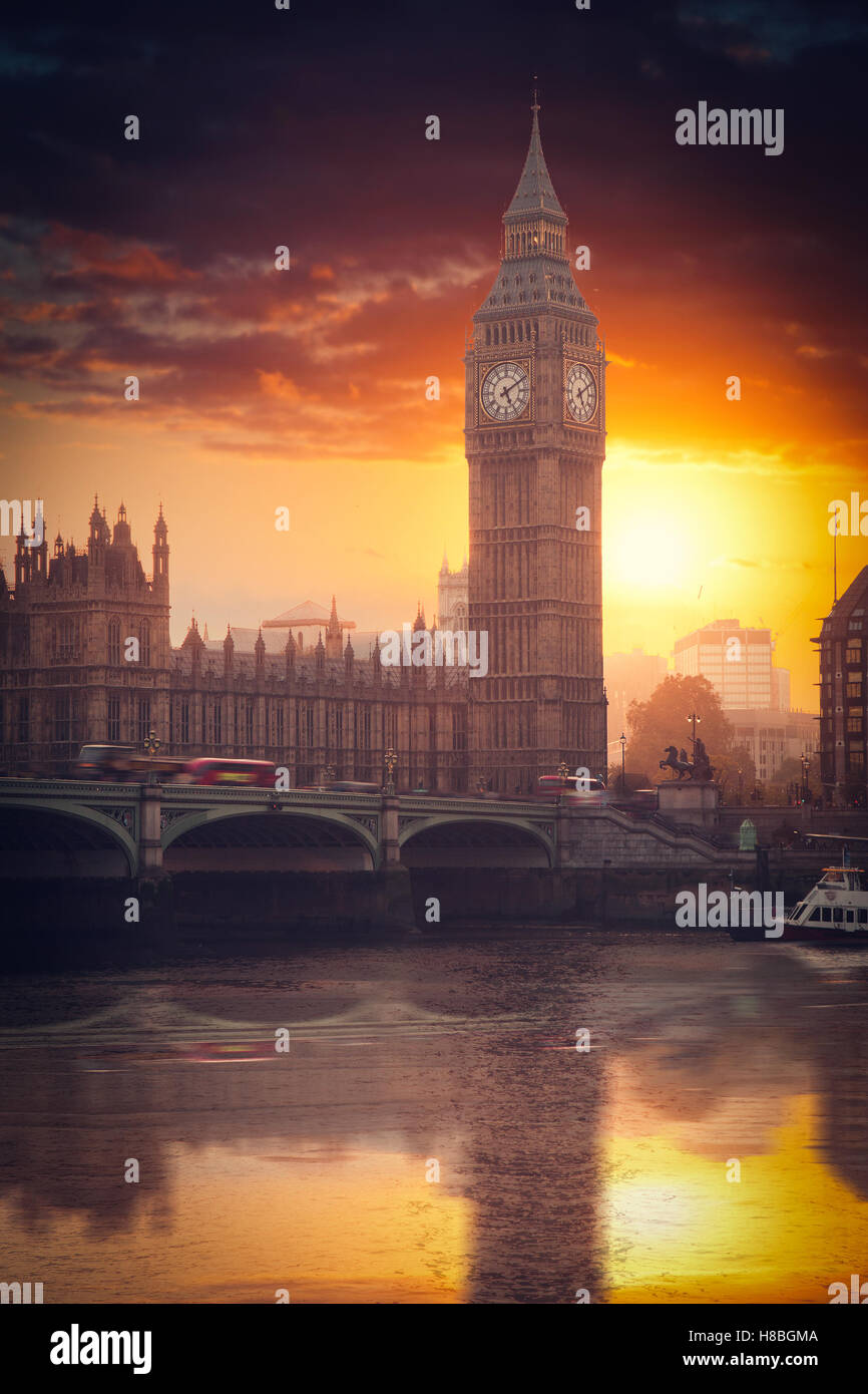 Torre gaviota y big ben fotografías e imágenes de alta resolución - Alamy