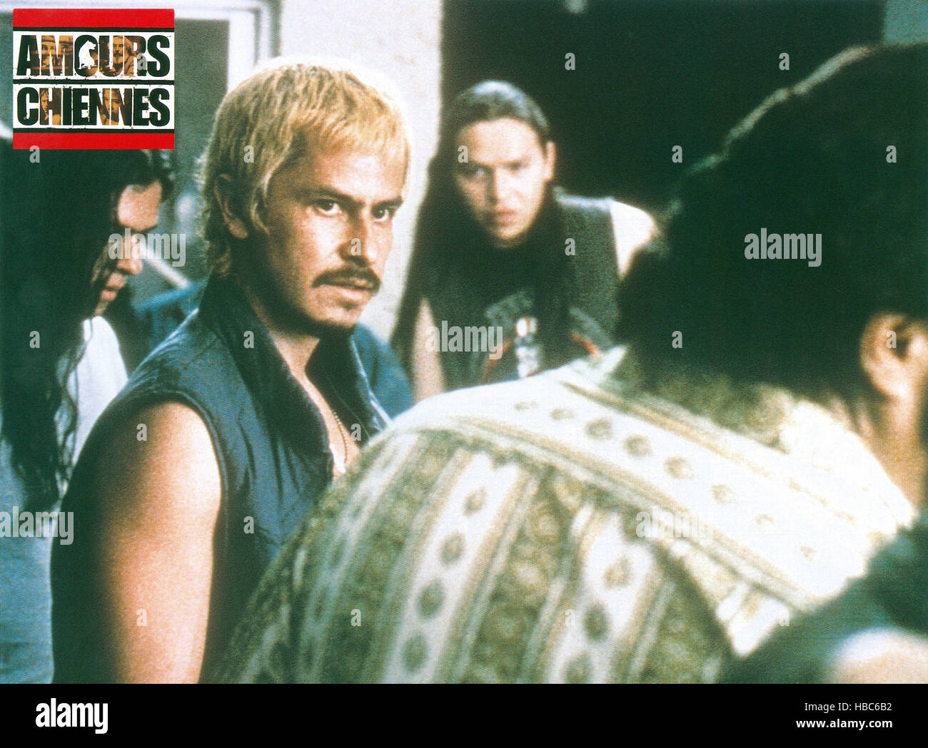 Amores Perros Pelicula Completa La