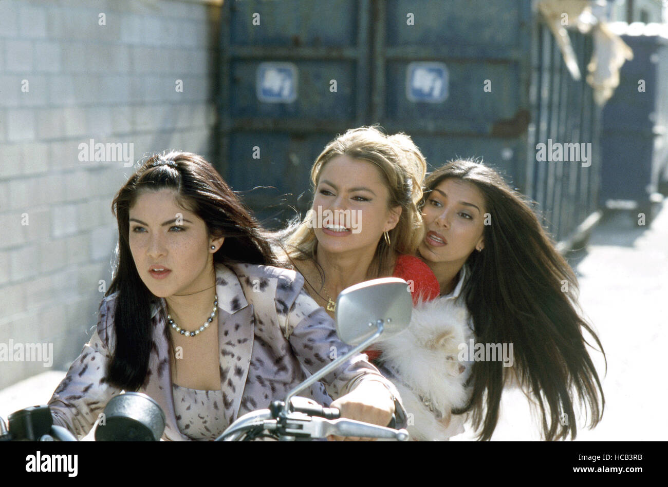 Roselyn Sanchez Chasing Papi