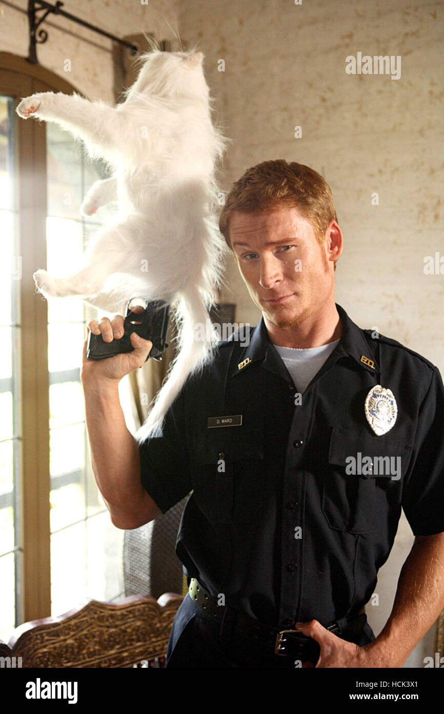 Zack Ward Postal