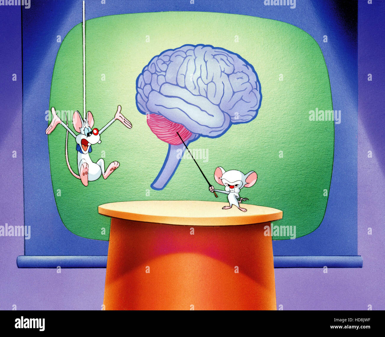 Cerebro De Pinky Y Las Citas Del Cerebro