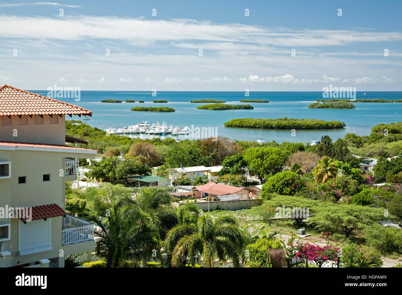 Playa La Parguera Puerto Rico at Hayley Haynes blog