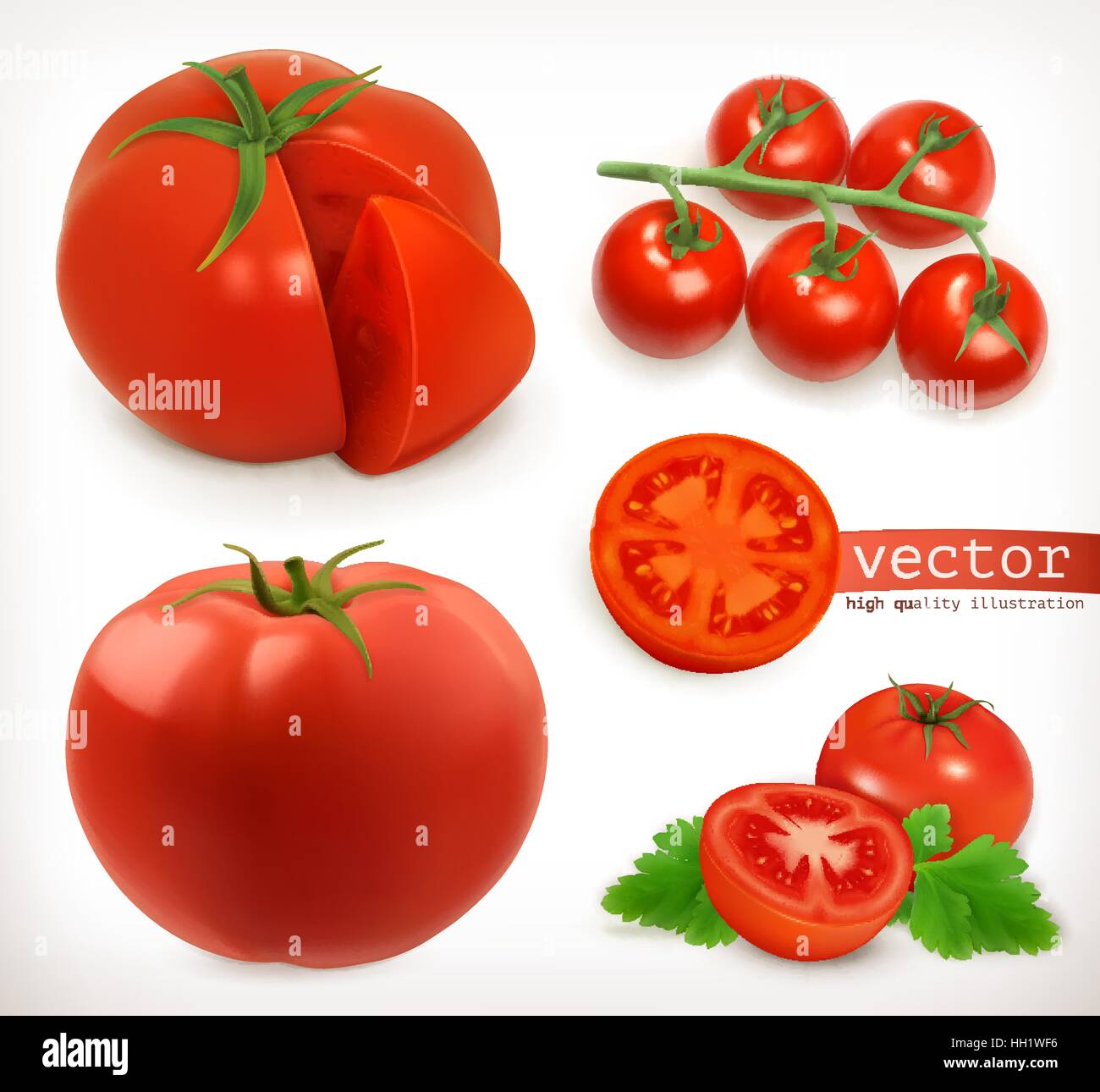 Planta de tomate Imágenes vectoriales de stock - Alamy