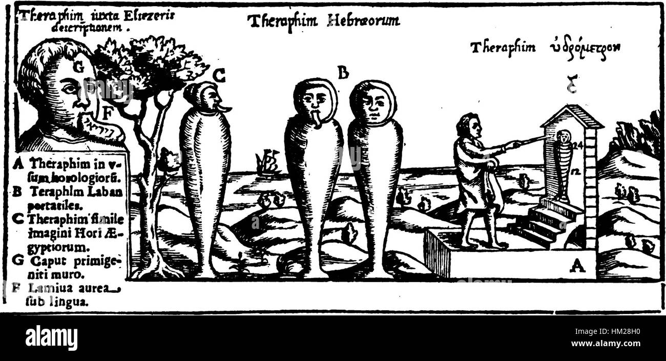 Oedipus aegyptiacus fotografías e imágenes de alta resolución - Alamy