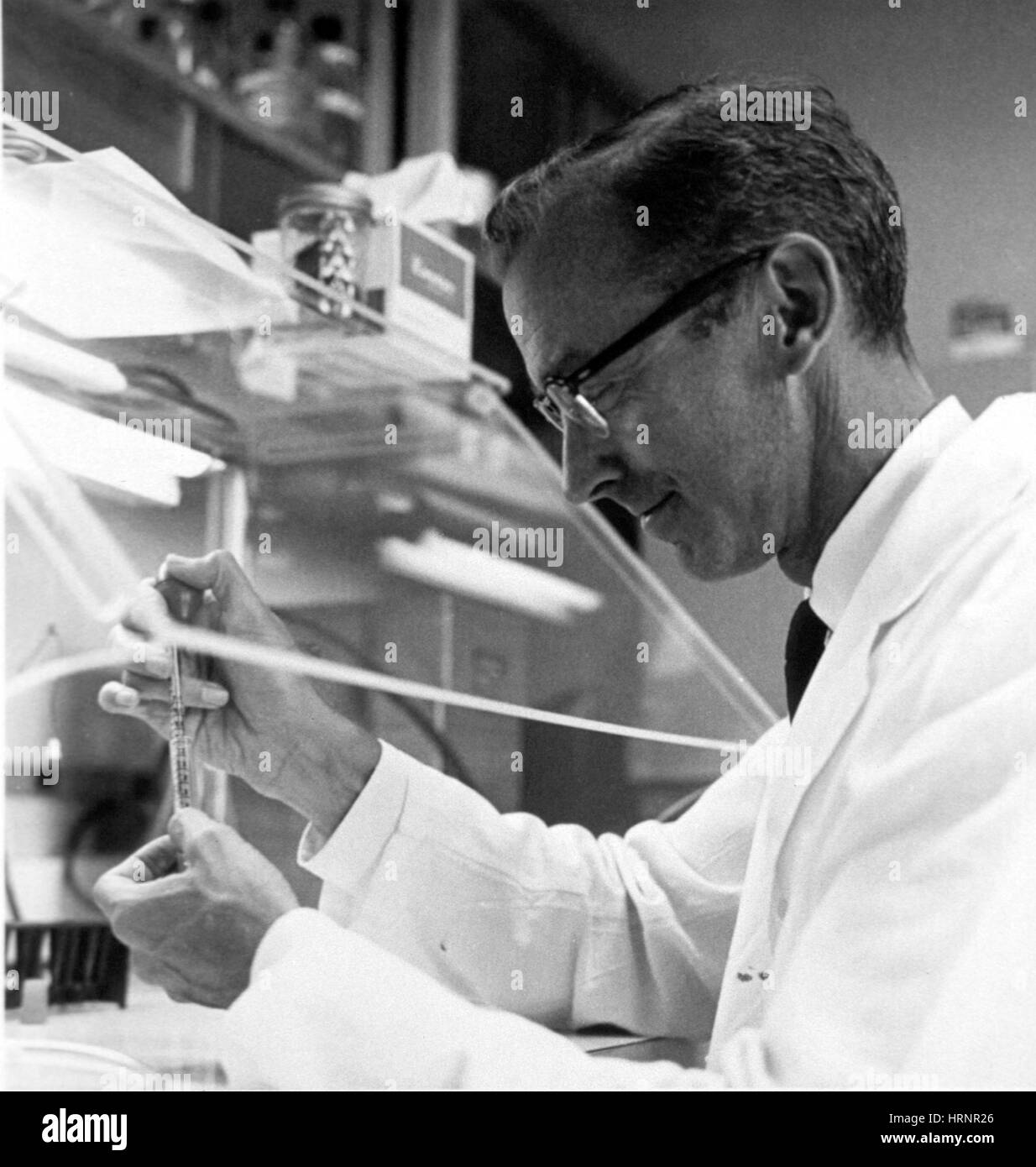 Familia Robert Holley