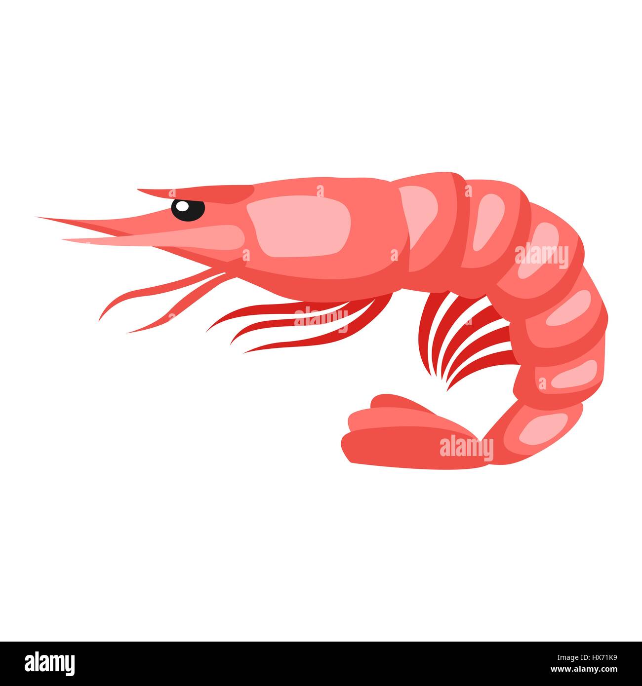 Dibujos Animados De Krill