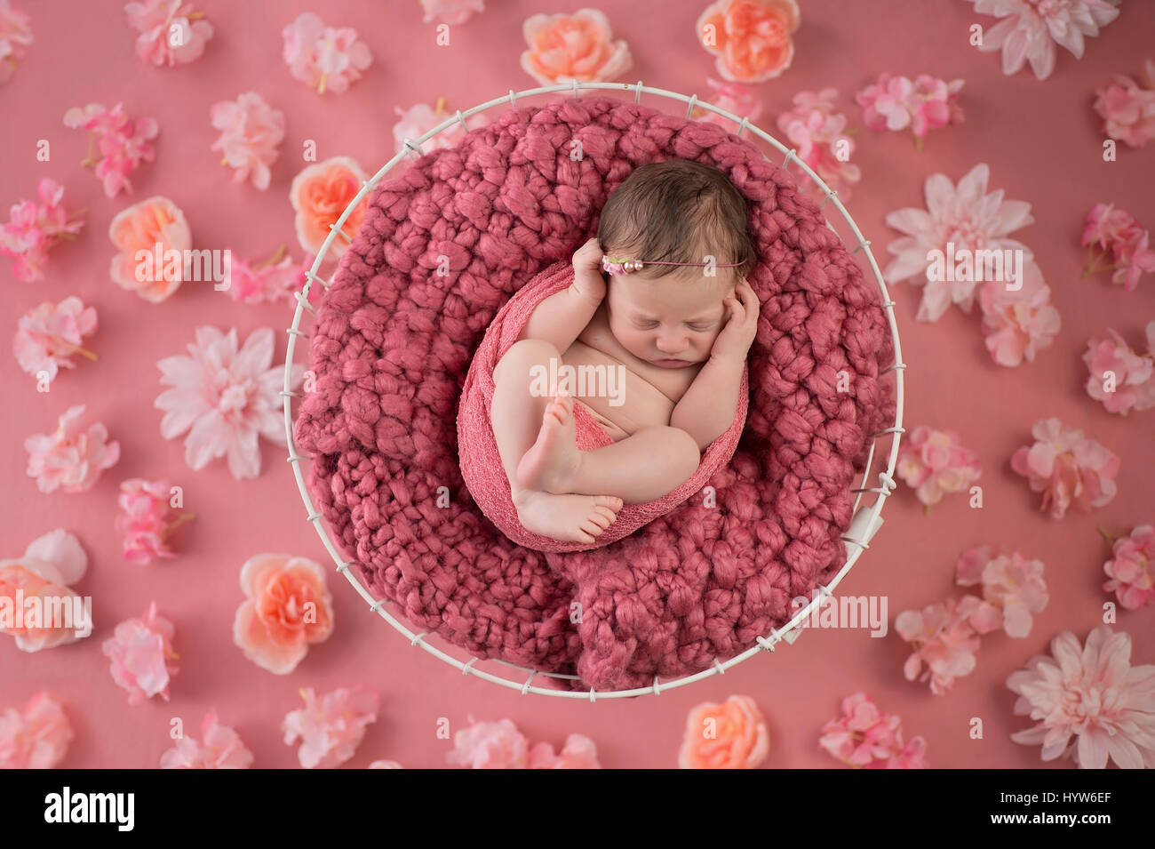 Lindas Fotos De Bebes Con Rosas