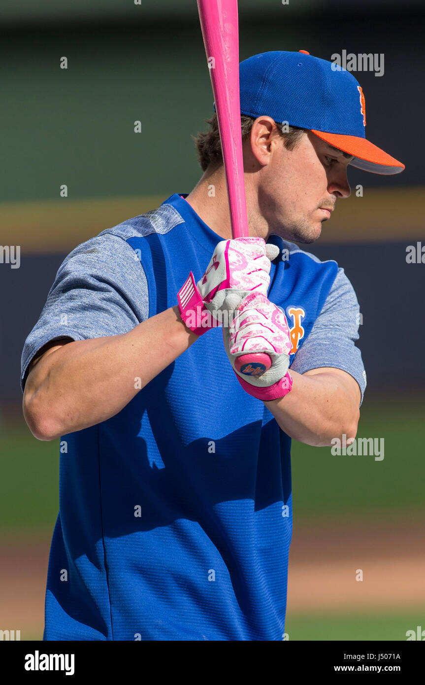Logotipo De Asta Rosa Debajo De La Armadura