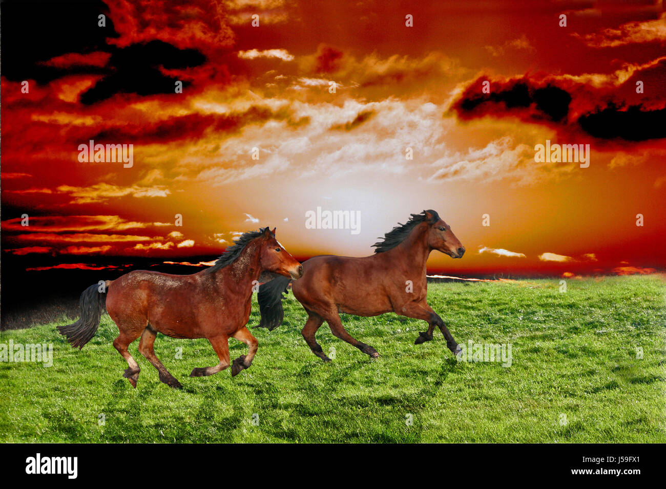 Fondo De Pantalla De Caballo De Pesadilla
