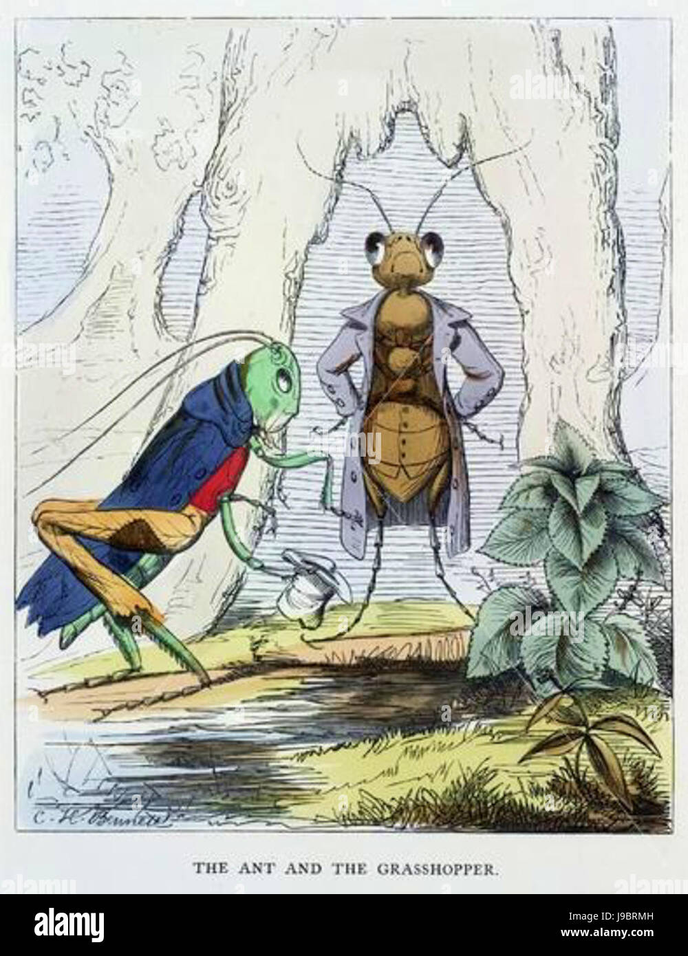 El Cuento De La Hormiga Y El Saltamontes Con Imagenes