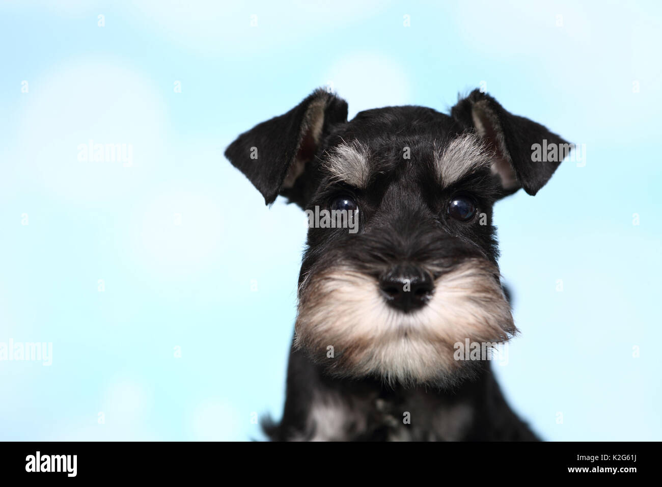 Fondo azul claro fotografías e imágenes de alta resolución - Alamy