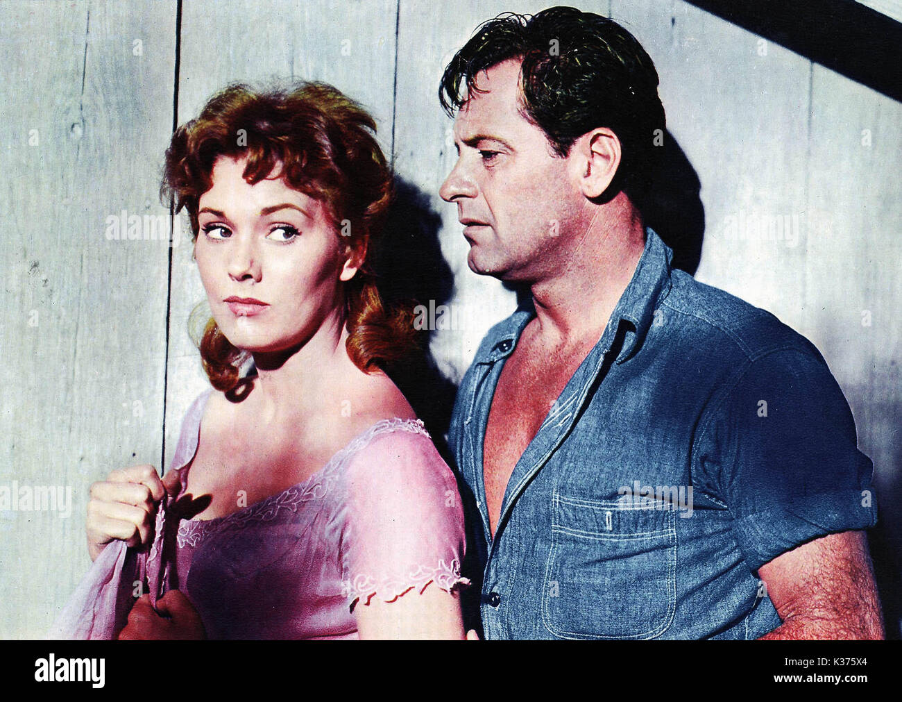 Picnic Kim Novak Fotografías E Imágenes De Alta Resolución Alamy