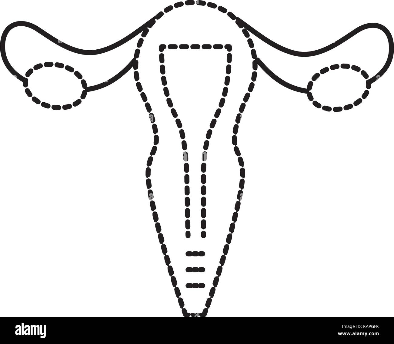 Aparato Reproductor Femenino Blanco Y Negro