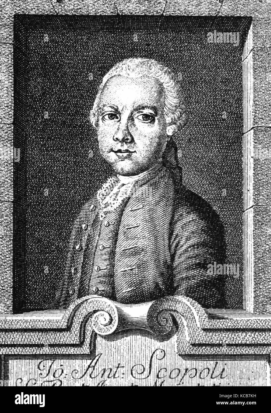 En 1754, Giovanni Antonio Scopoli (1723 - 1788)