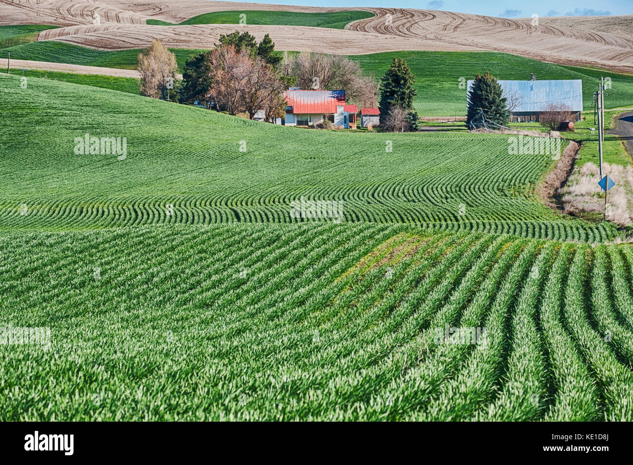 Agricultura De Contorno Y Terrazas