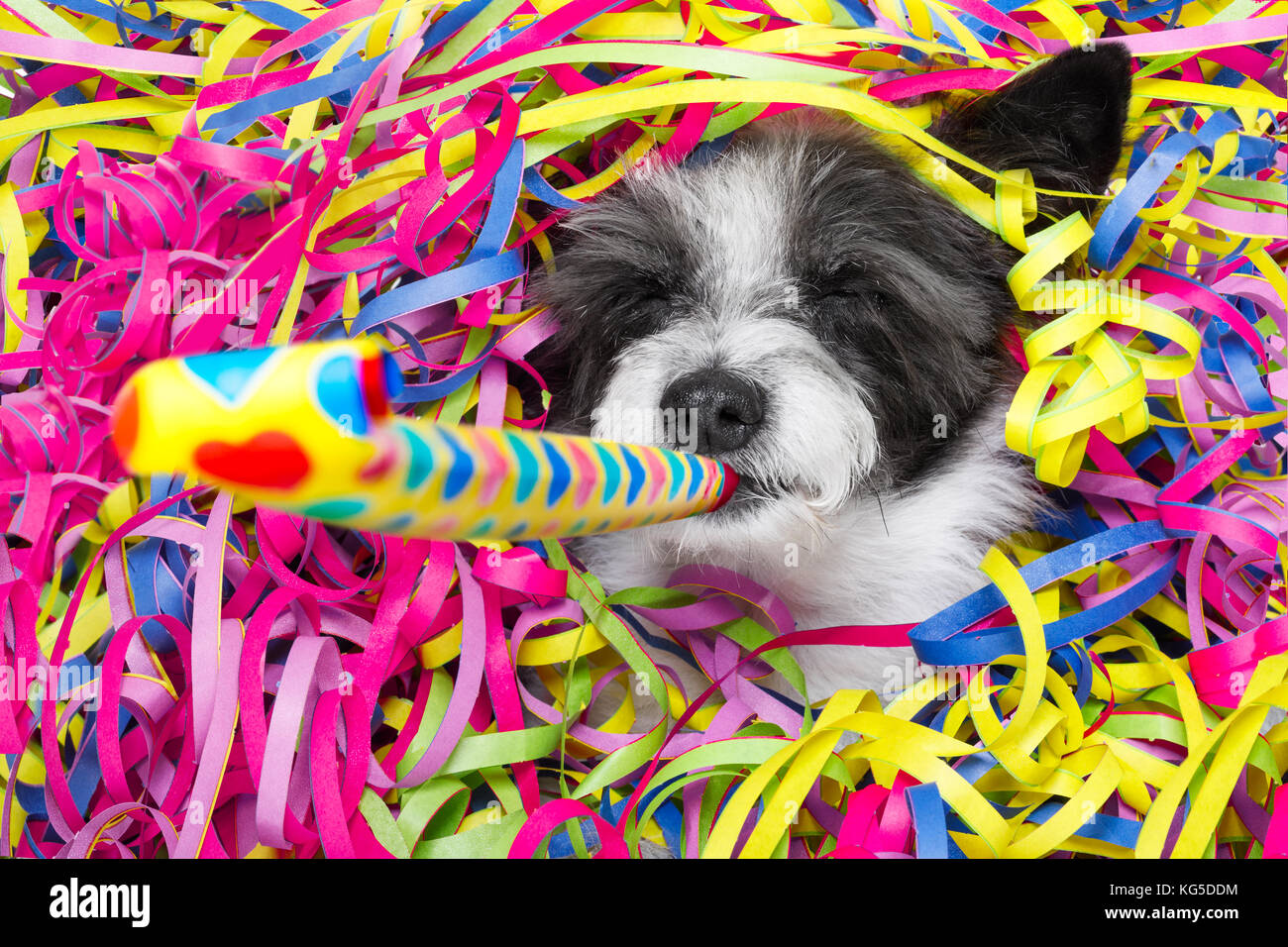 Serpentinas De Nochevieja