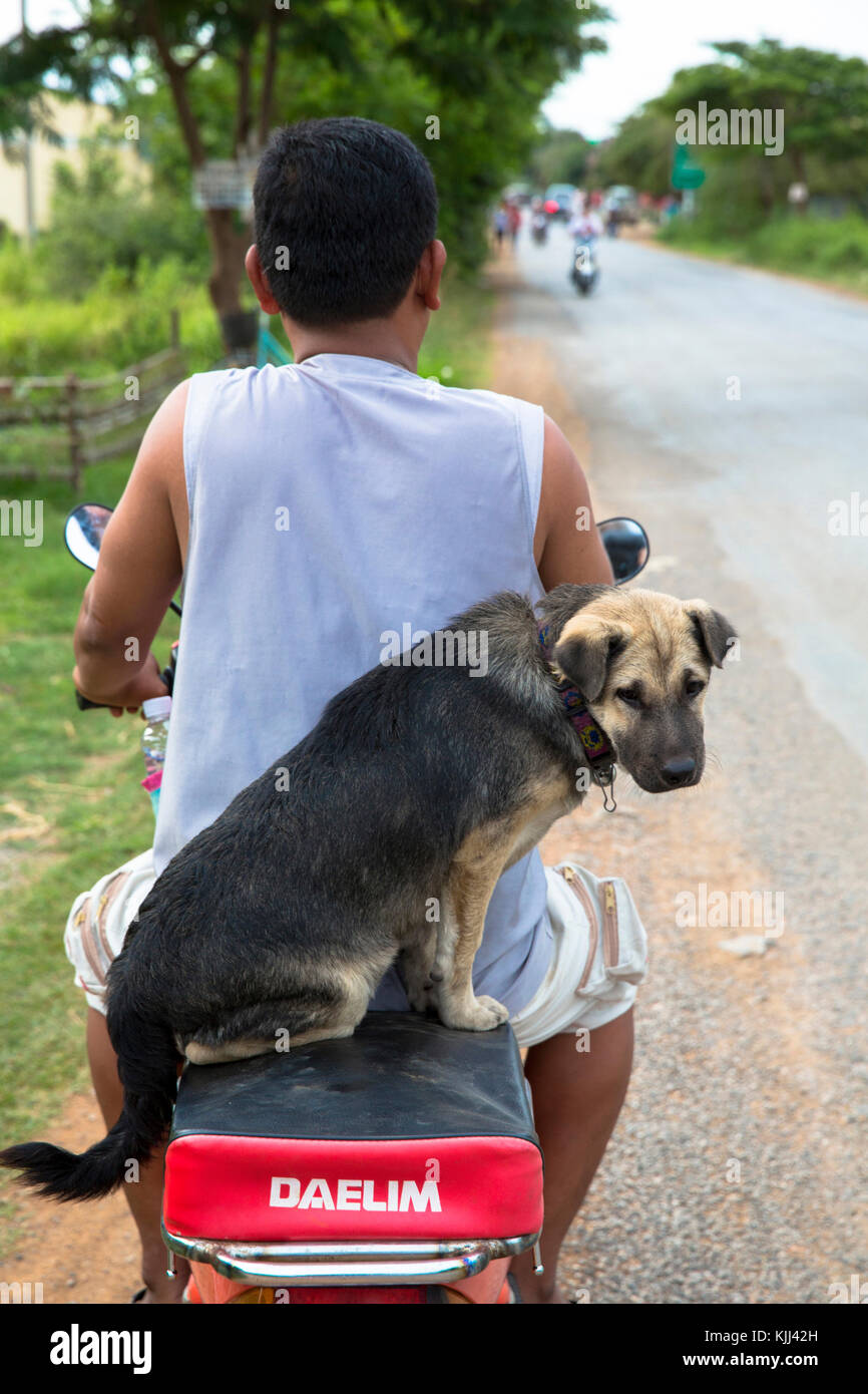 Persona montando scooter fotografías e imágenes de alta resolución - Alamy