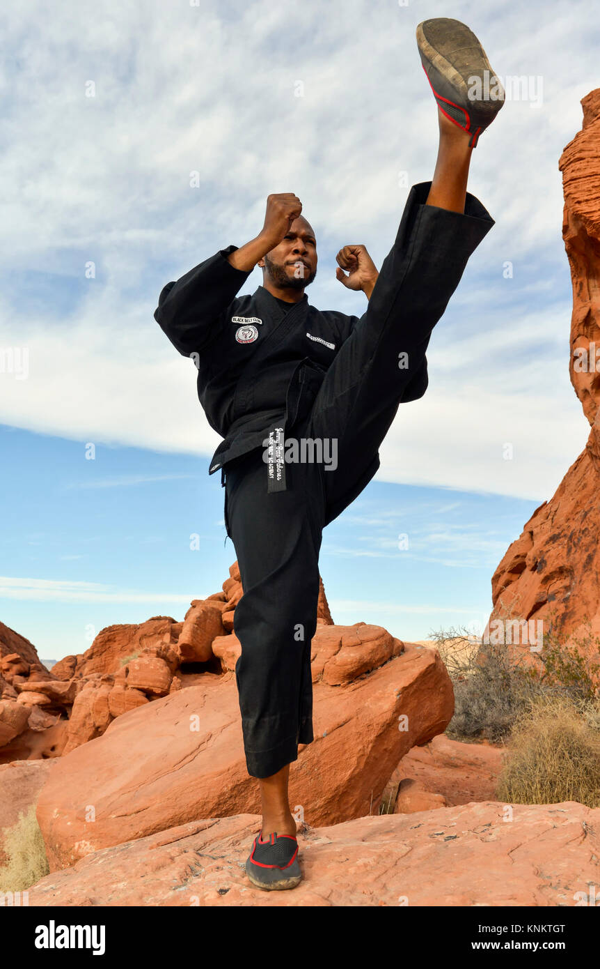 Patada Circular De Taekwondo