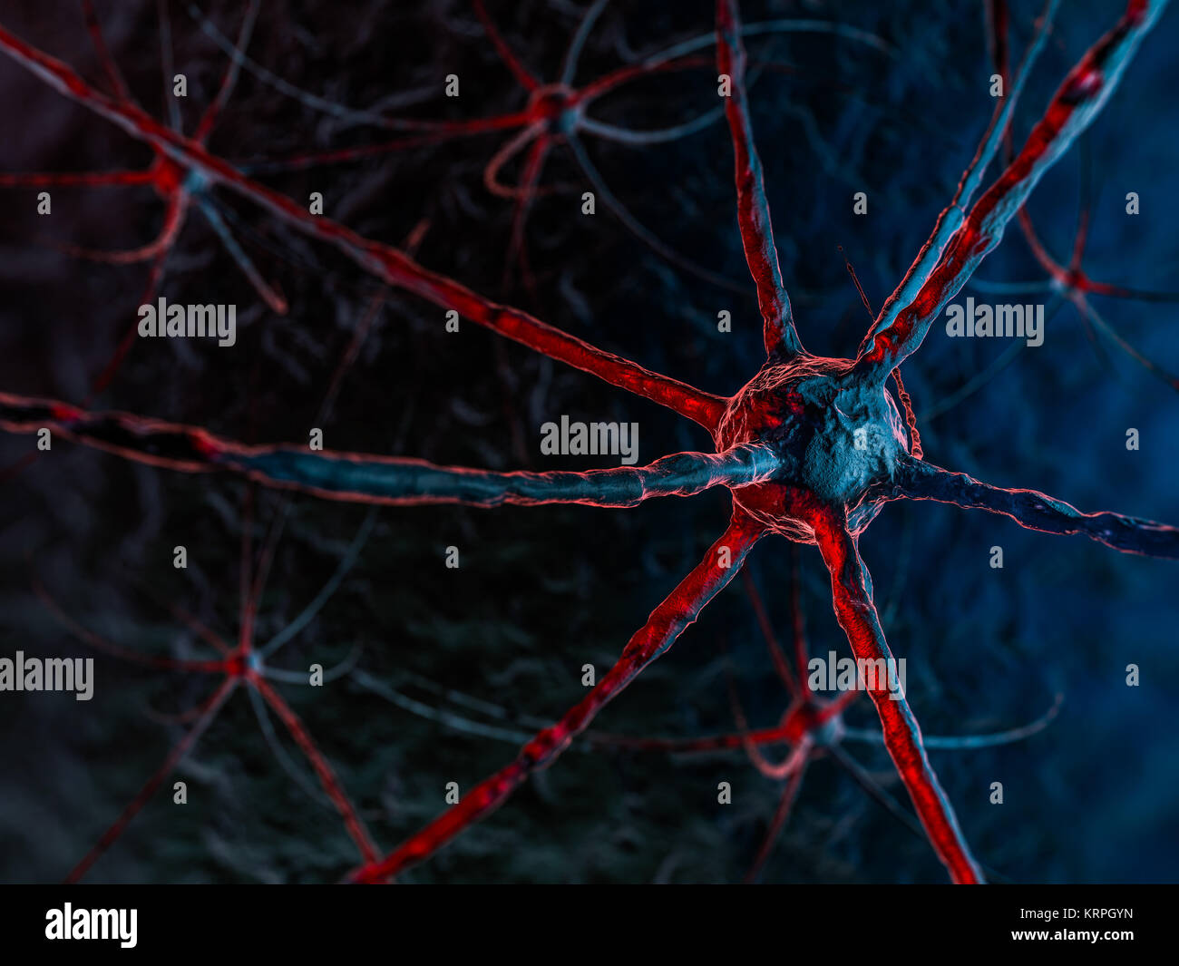 Red Neuronal Artificial Y Red Neuronal Biológica