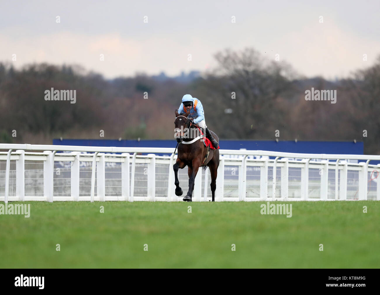 Lanza Divina Hotsell | varsana.com