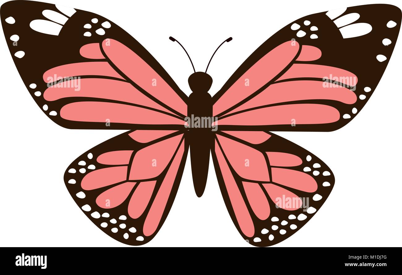 Lindo Color Rosa Alas De Mariposa Insecto Vector Icono Ilustración Imagen Vector De Stock Alamy