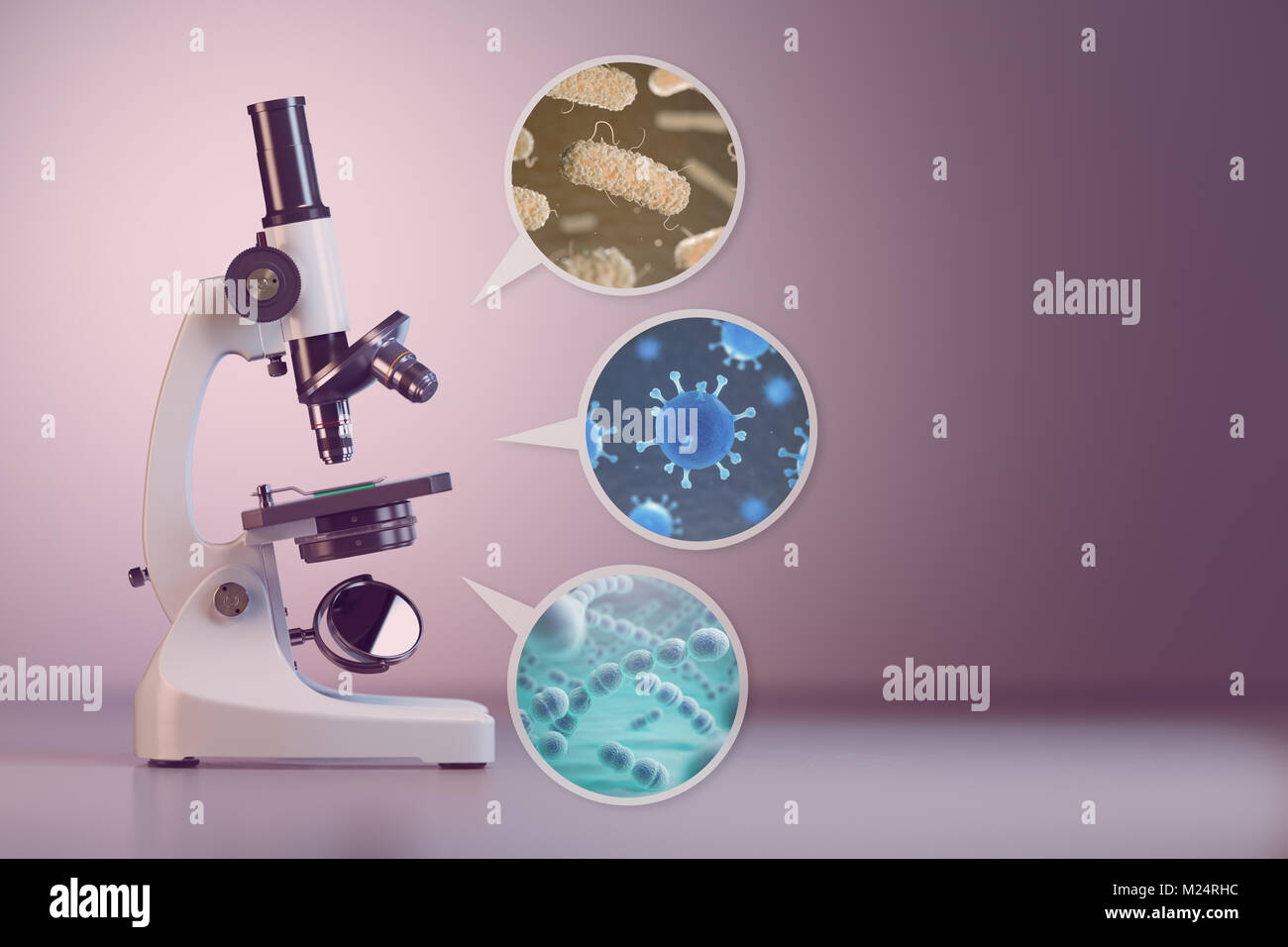 Microscopiodebacterias