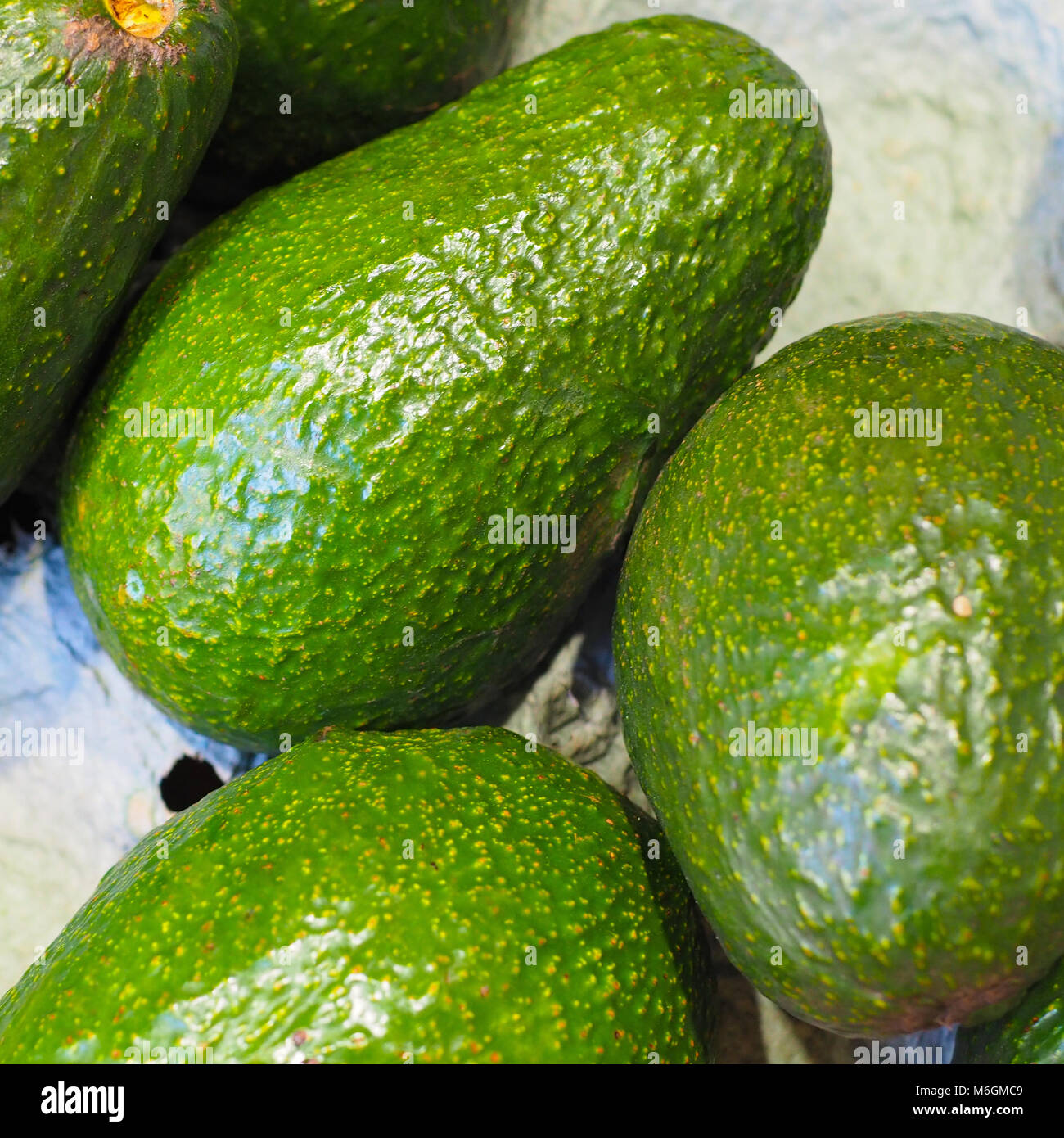 Los Aguacates