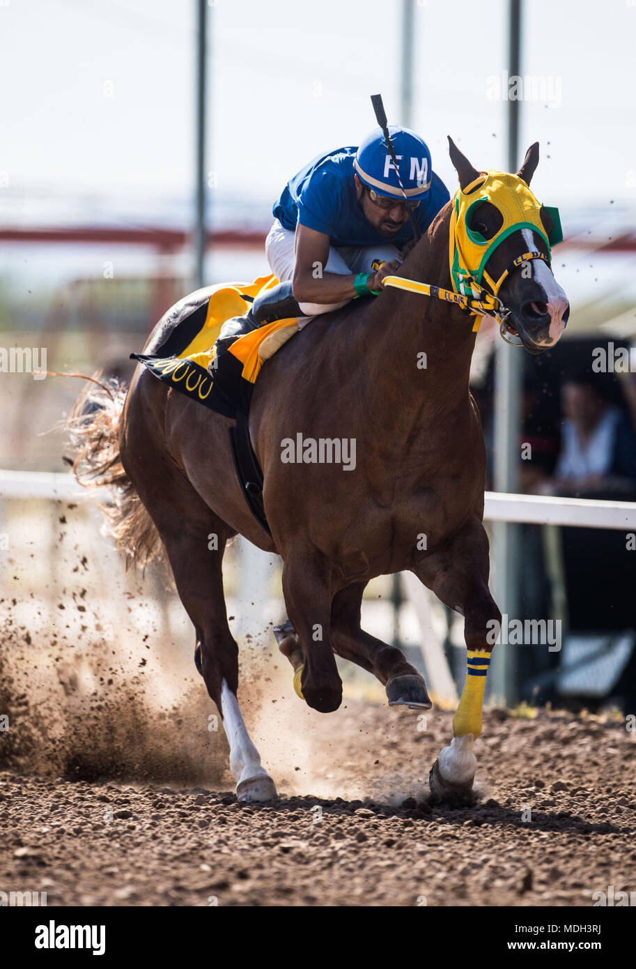 Caballos De Carreras Mexicanos