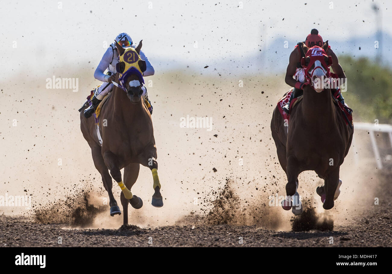 Caballos De Carreras Parejeras