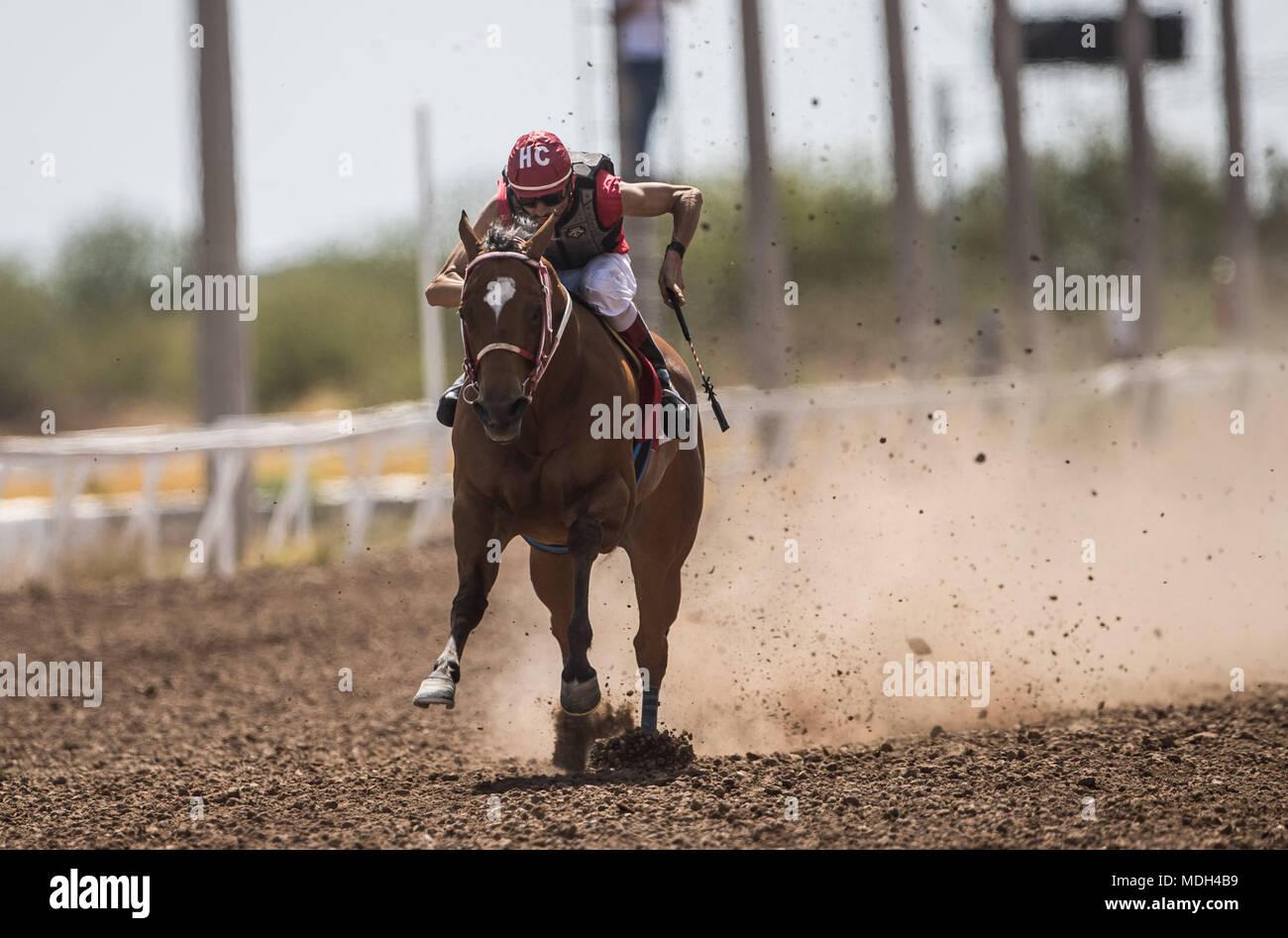Caballos De Carreras Mexicanos