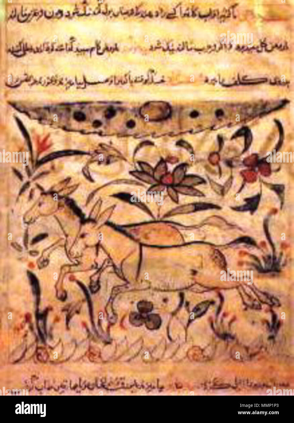 Al Jahiz El Libro De Los Animales - Leer un Libro