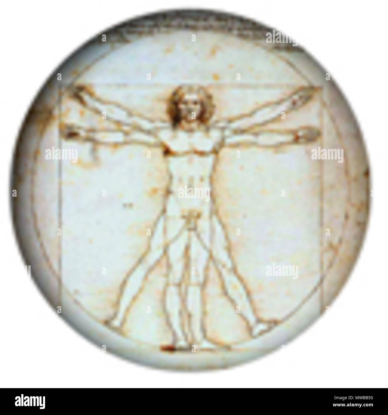 Leonardo Da Vinci, Hombre De Vitruvio, Alta Resolución
