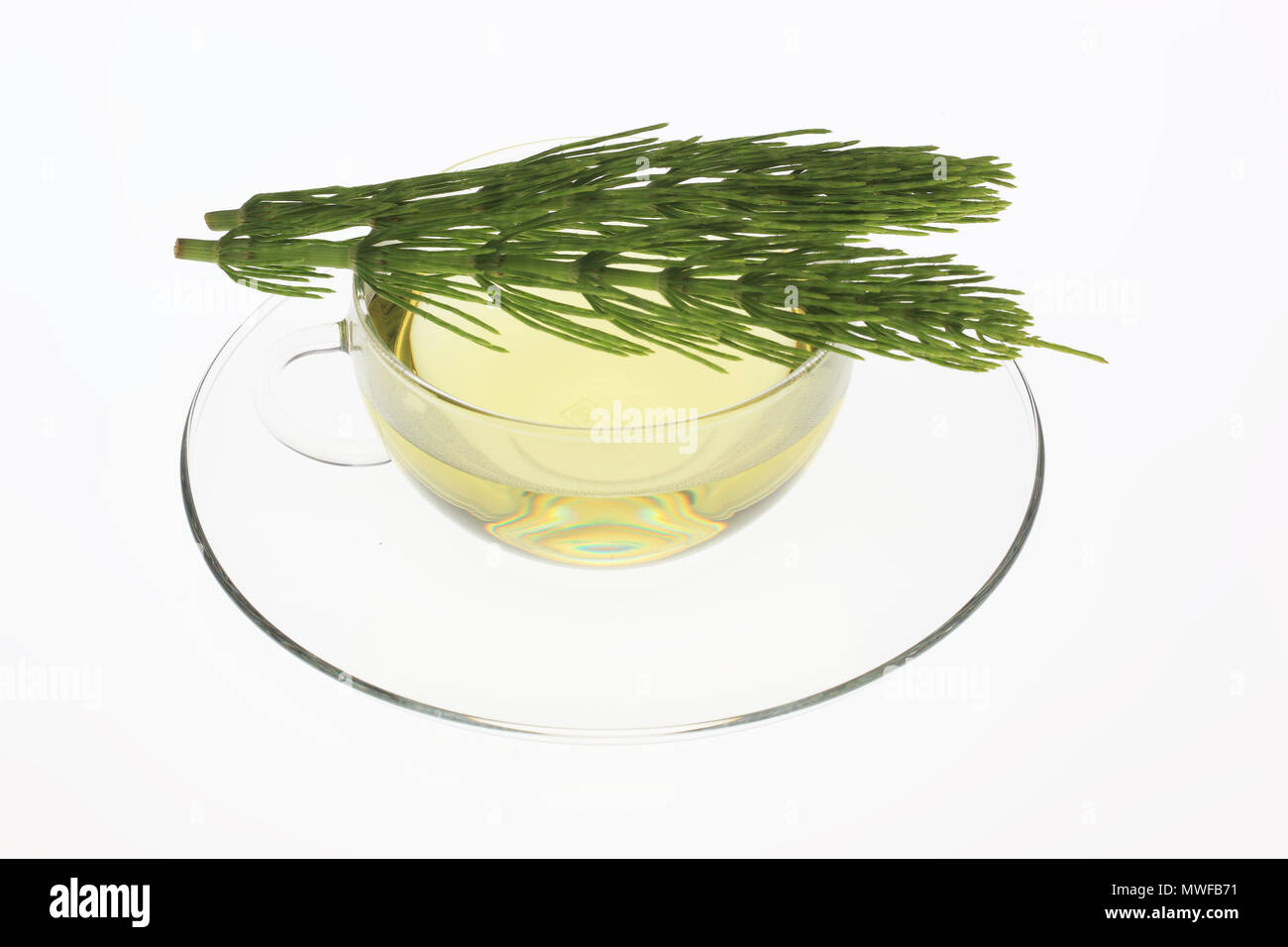 Horsetailtea, té, té medicinal, herbtea, plantas medicinales, Equisetum ...