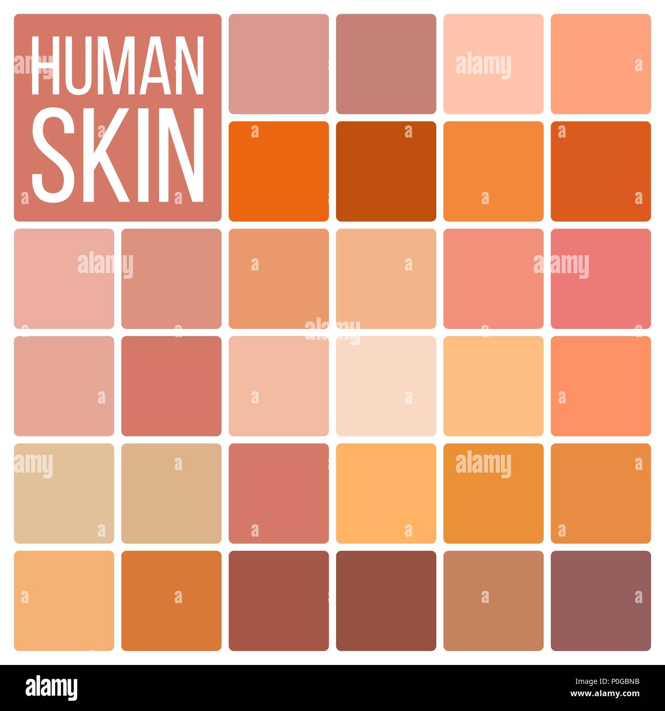 Vector De Piel Humana Varios Tonos Del Cuerpo Gráfico Paleta De
