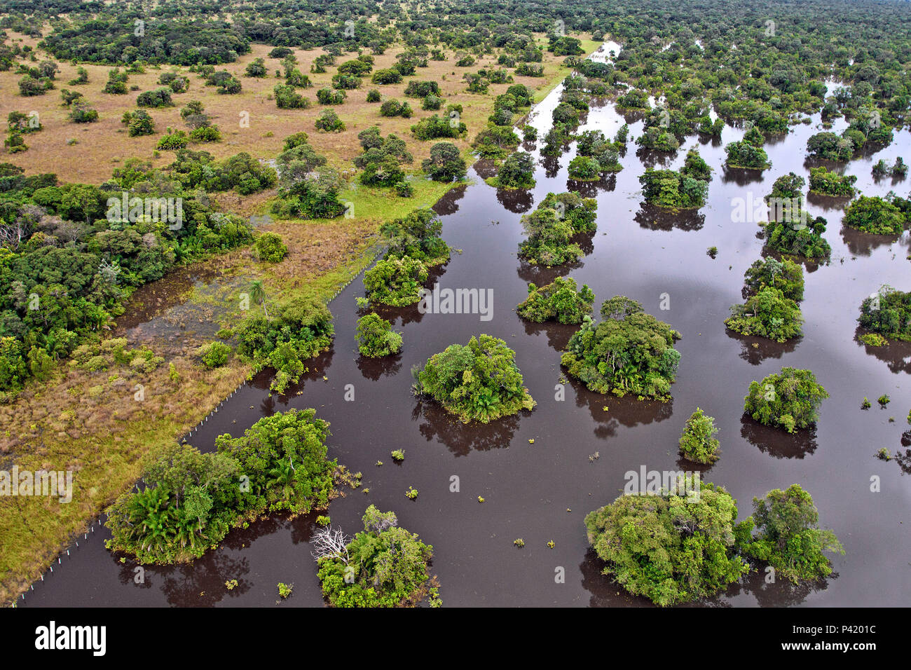 Cheia No Pantanal Sul Fotografías E Imágenes De Alta Resolución Alamy