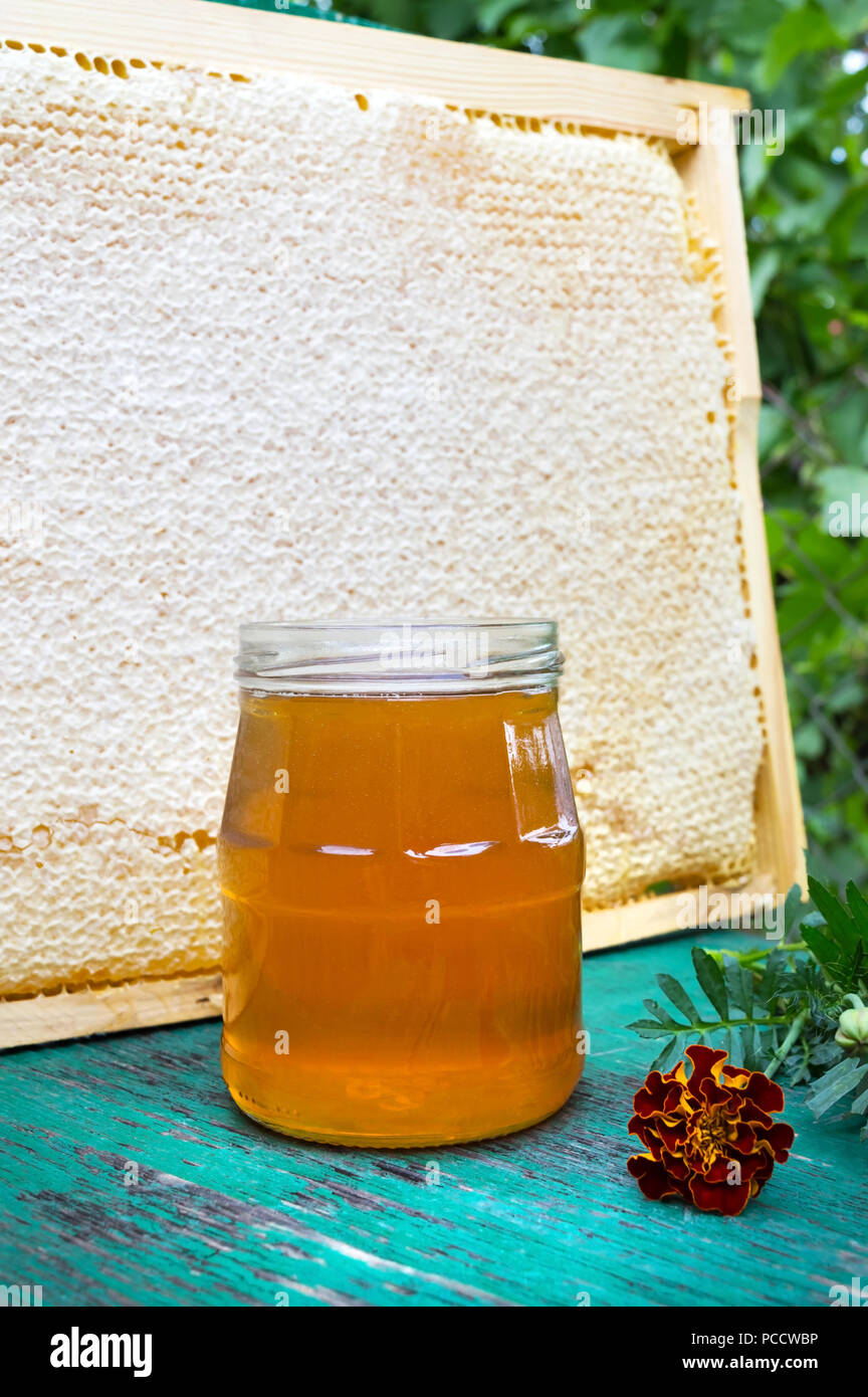 Gran Panal De Abeja Y Un Frasco Con Miel En Una Vintage Mesa Delante De La Naturaleza Fotografía